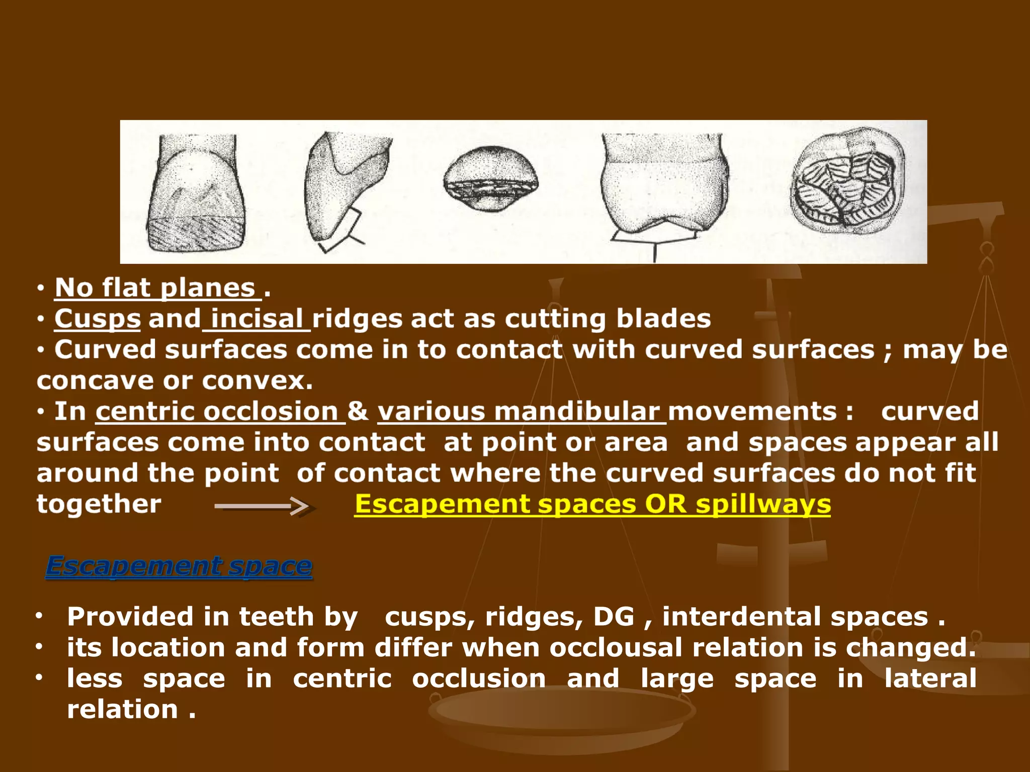 Dental Occlusion | PPT