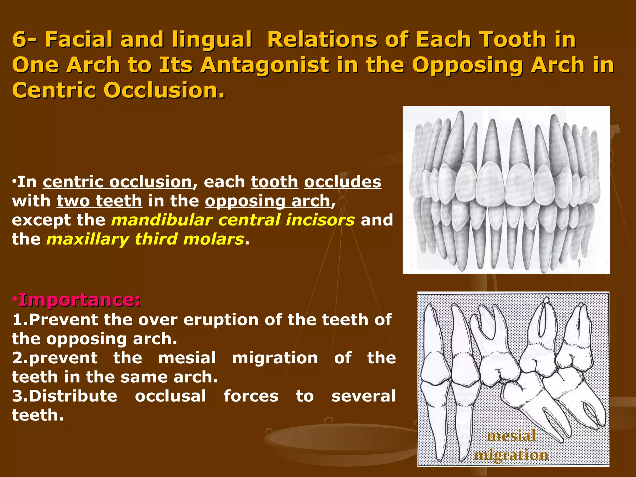 Dental Occlusion | PPT