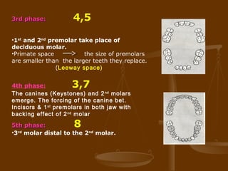 Dental Occlusion | PPT