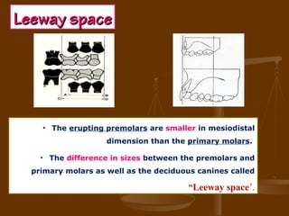 Dental Occlusion | PPT