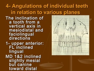 Dental Occlusion | PPT