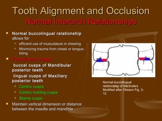 Dental Occlusion | PPT