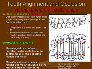 Dental Occlusion | PPT