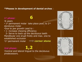 occlusion11-160429094720 (1).ppt dental anatomy | PPT