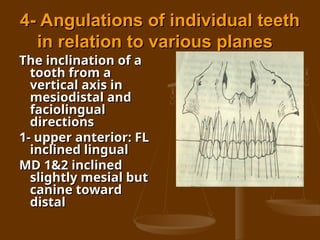 occlusion11-160429094720 (1).ppt dental anatomy | PPT