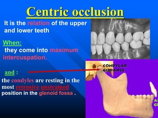Occlusion1 Dr. Reham 6OU 2024 (1) pdf... | PPT