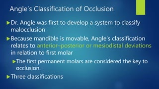 Occlusion and form and function | PPTX