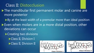 Occlusion and form and function | PPTX