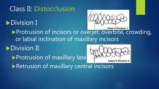 Occlusion and form and function | PPTX