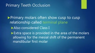 Occlusion and form and function | PPTX