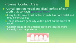 Occlusion and form and function | PPTX