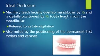 Occlusion and form and function | PPTX