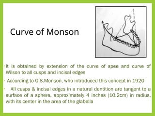 Occlusion – Basic concepts presentation | PPT