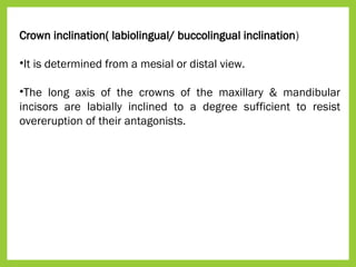 Occlusion – Basic concepts presentation | PPT