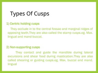 Occlusion – Basic concepts presentation | PPT