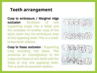 Occlusion – Basic concepts presentation | PPT
