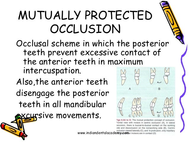 Occlusion basics /certified fixed orthodontic courses by Indian denta…