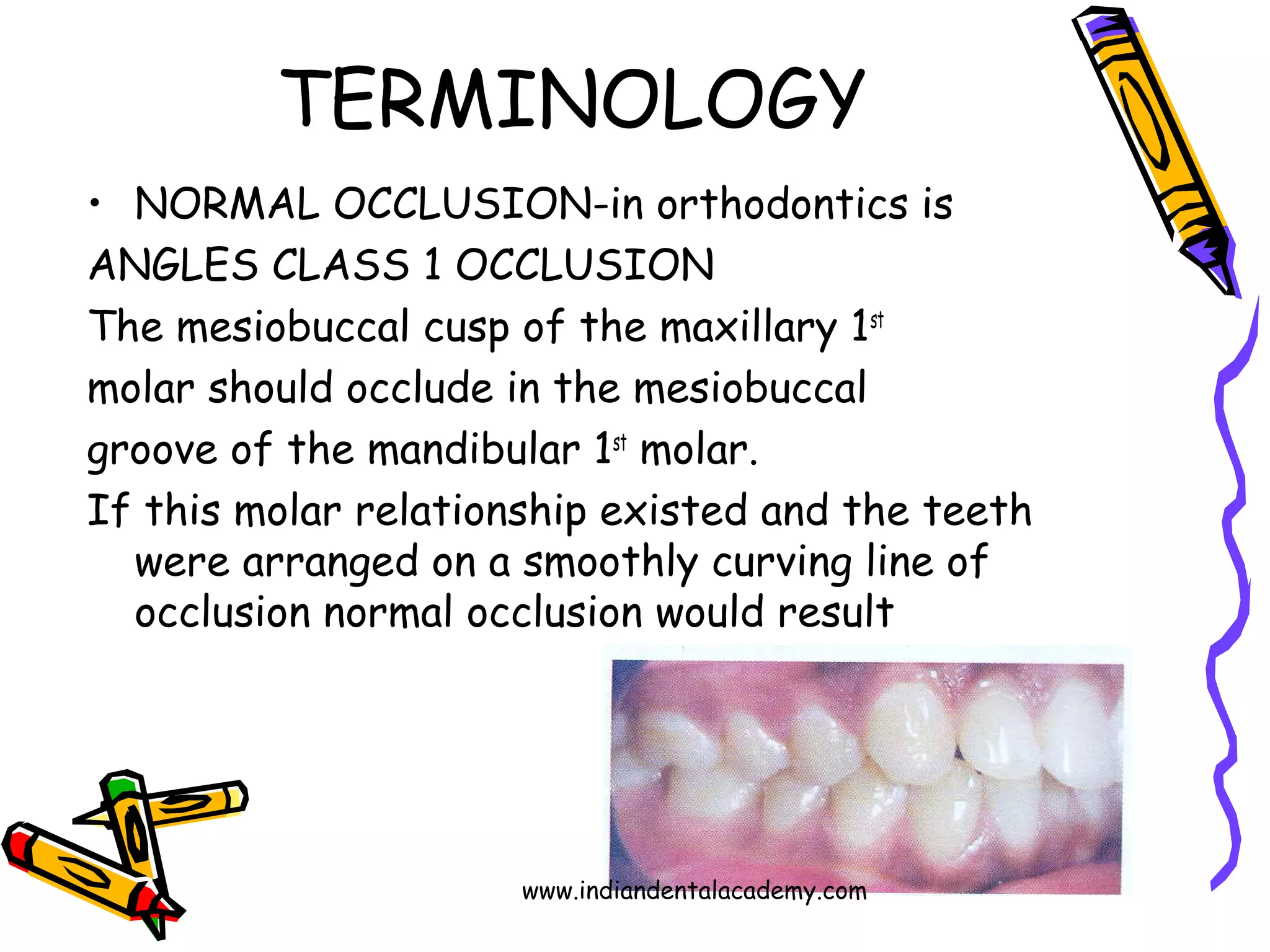 Occlusion basics | PPT