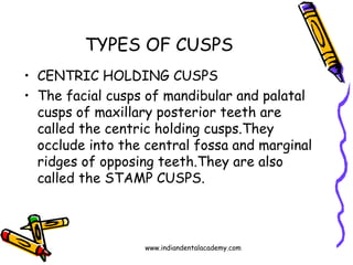 Occlusion basics | PPT
