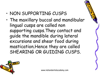 Occlusion basics | PPT