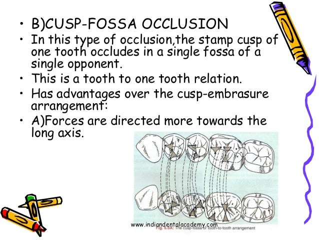 Occlusion basics