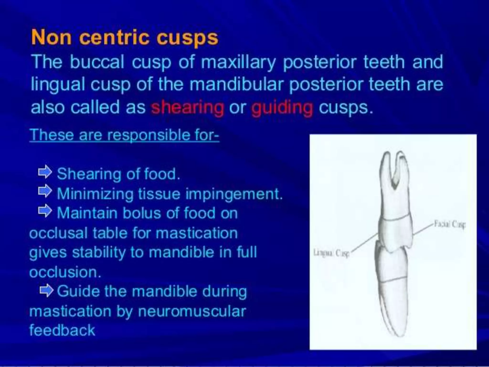 Occlusion dr jameel demonstration | PPT