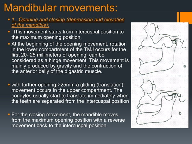 Occlusion for prosthodontics | PPTX