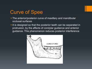 Occlusion for prosthodontics | PPTX