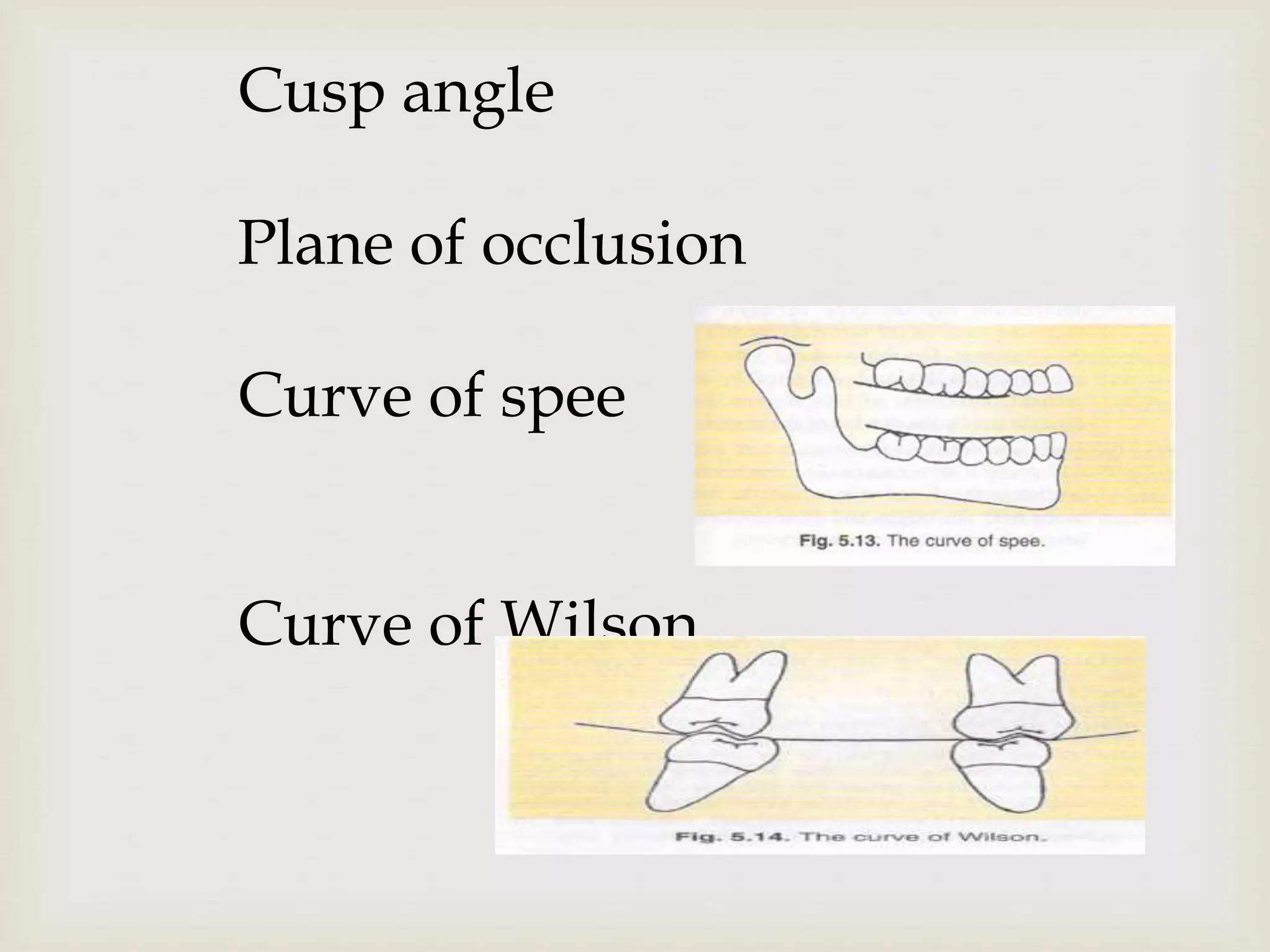 Occlusion in conservative dentistry | PPTX