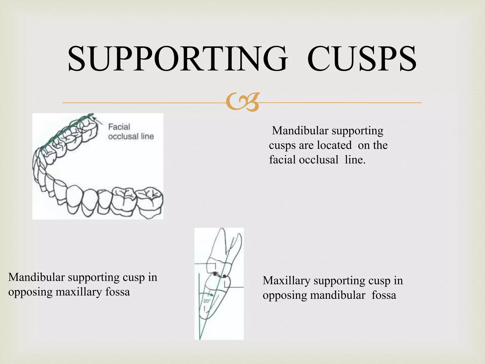 Occlusion in conservative dentistry | PPTX