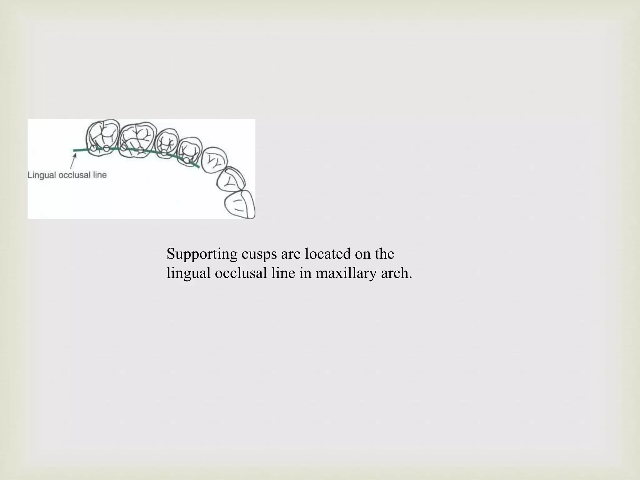 Occlusion in conservative dentistry | PPTX