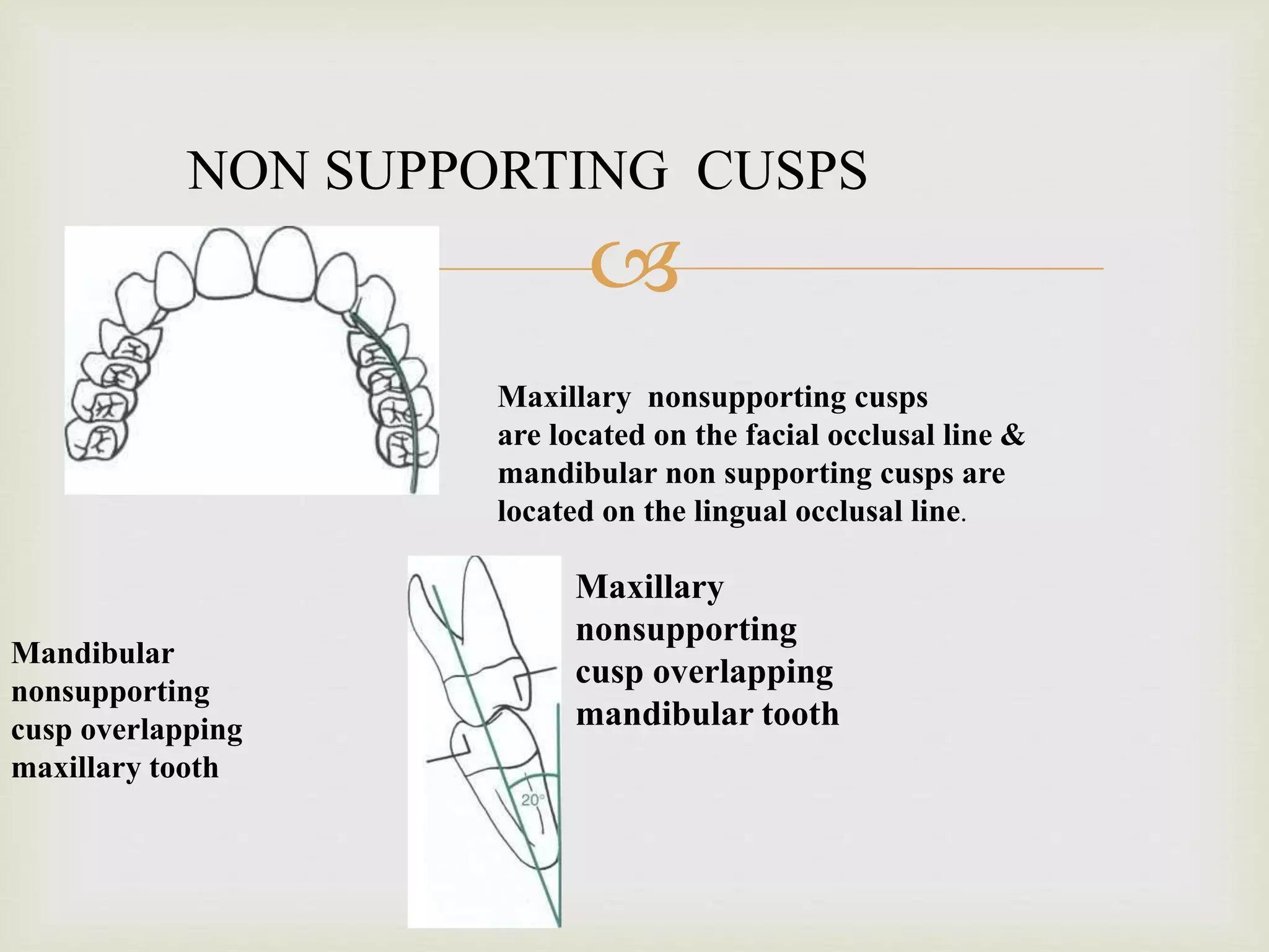 Occlusion in conservative dentistry | PPTX
