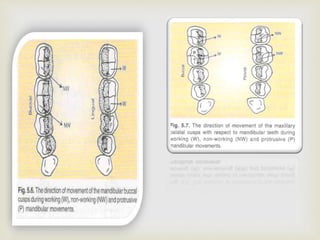 Occlusion in conservative dentistry | PPTX