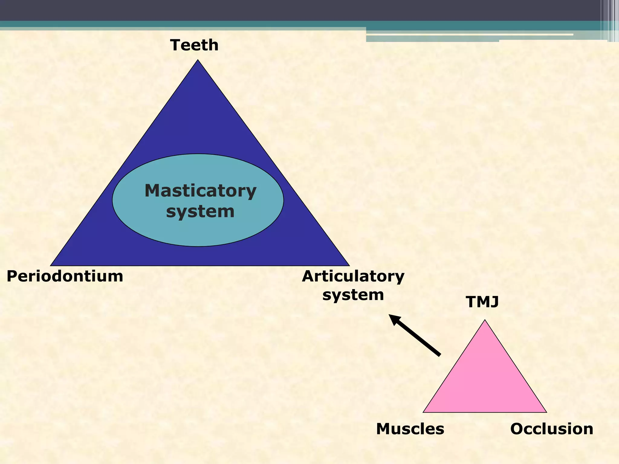 Occlusion in dentistry | PPTX