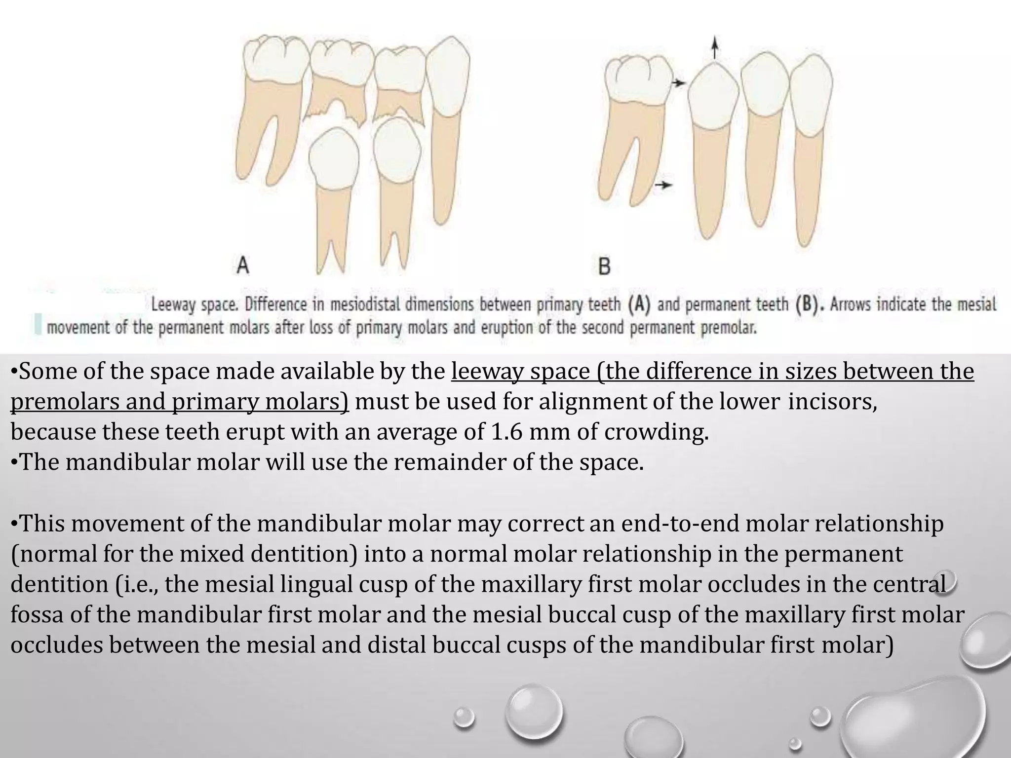 OCCLUSION | PPTX
