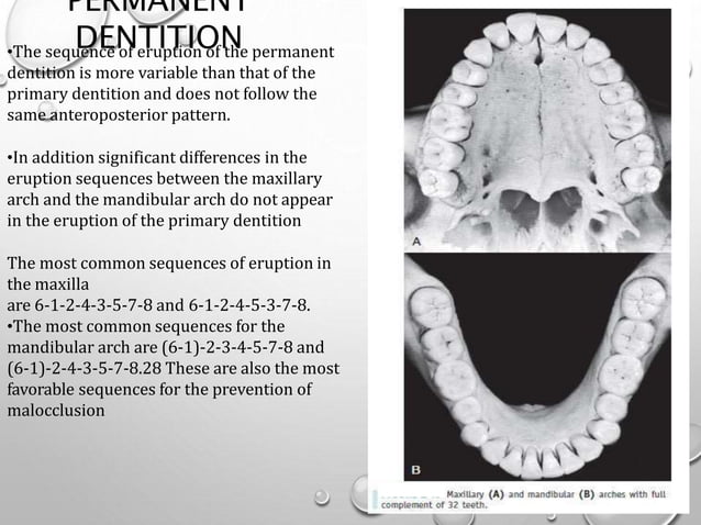 OCCLUSION | PPTX