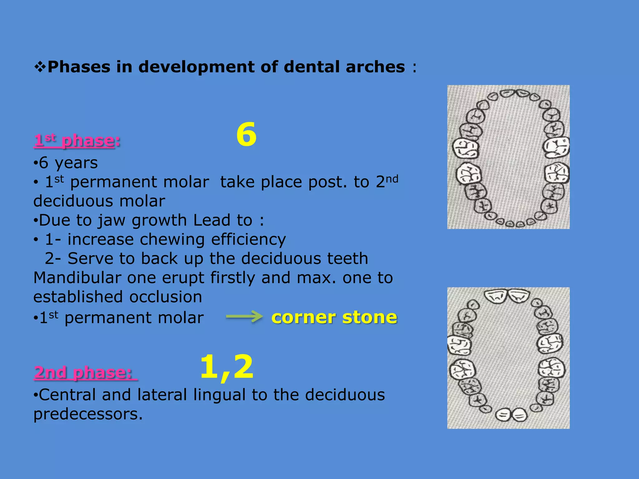 ]Dental Occlusion part 1 | PPTX