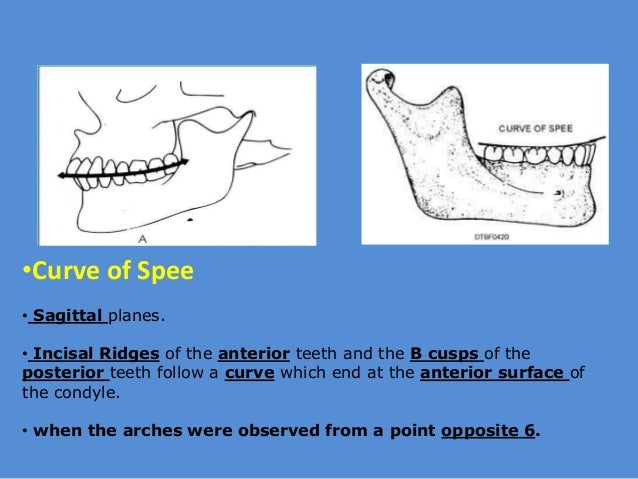 ]Dental Occlusion part 1