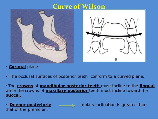 ]Dental Occlusion part 1