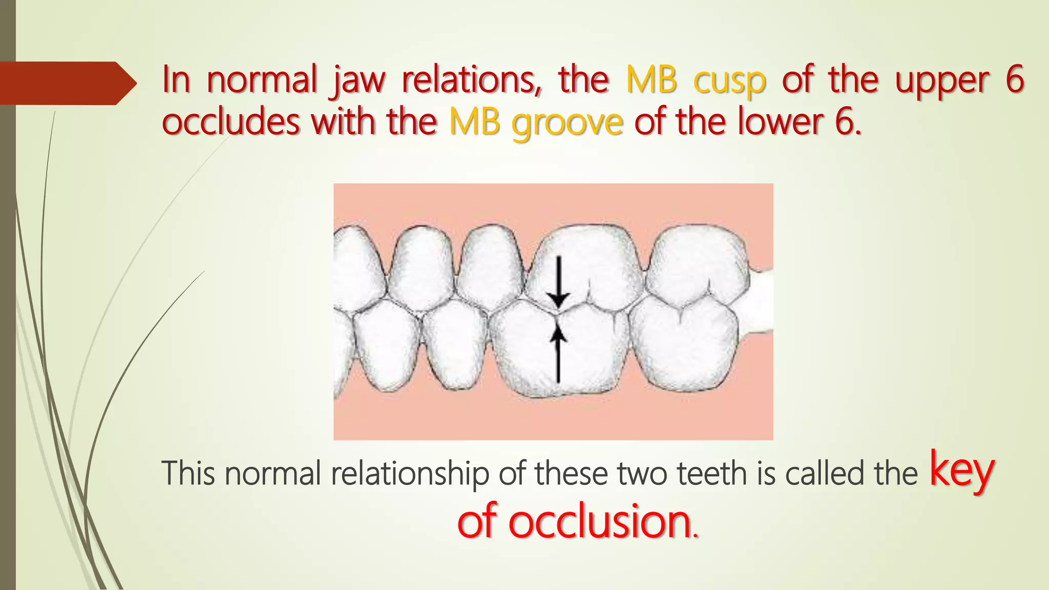 Occlusion part 2 final | PPTX | Dental Health | Diseases and Conditions