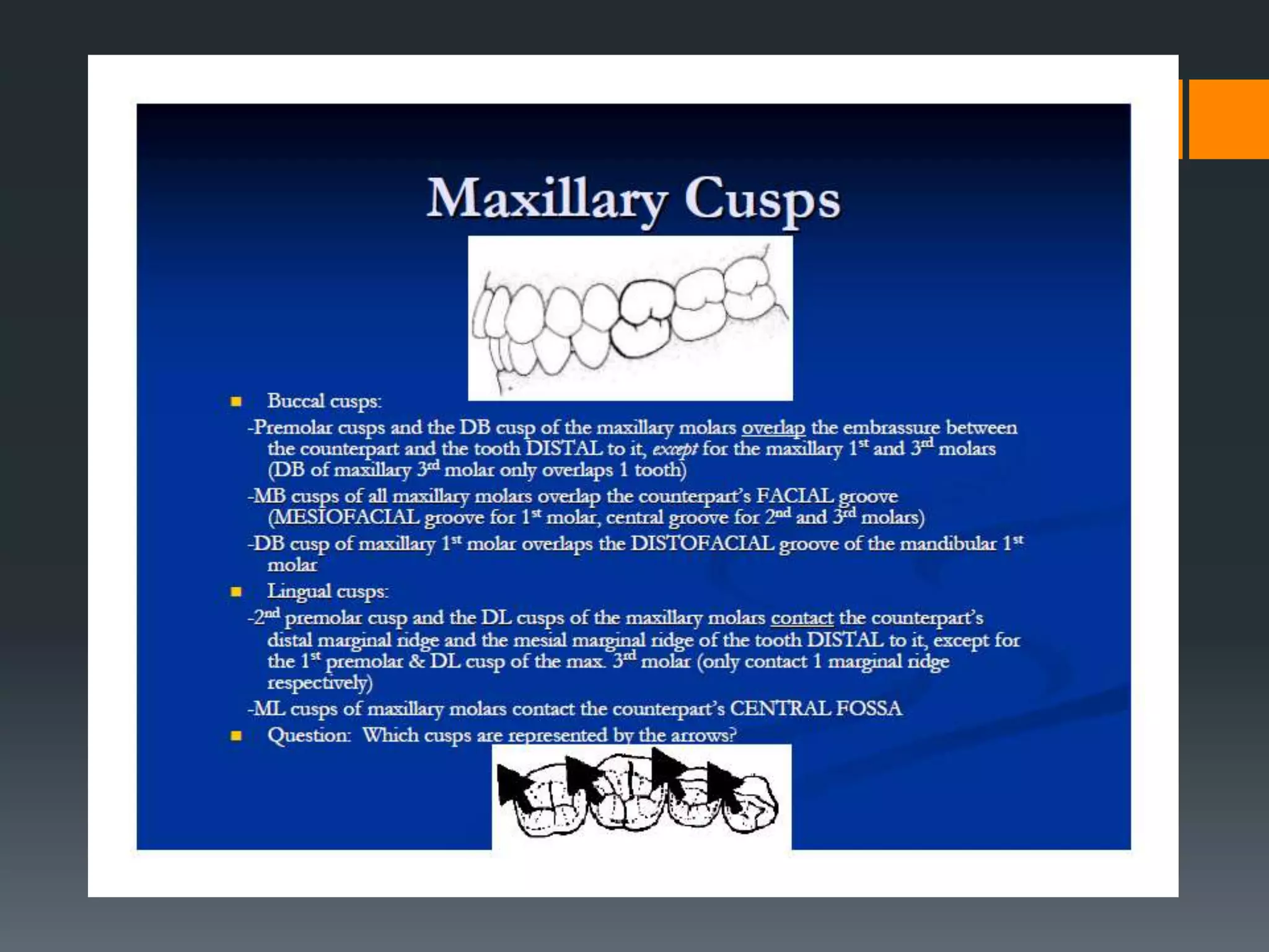 OCCLUSION IN COMPLETE DENTURES | PPTX