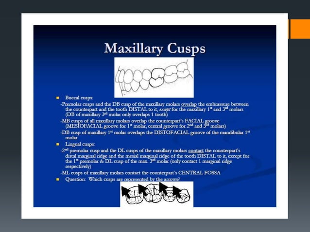 OCCLUSION IN COMPLETE DENTURES | PPTX | Dental Health | Diseases and ...
