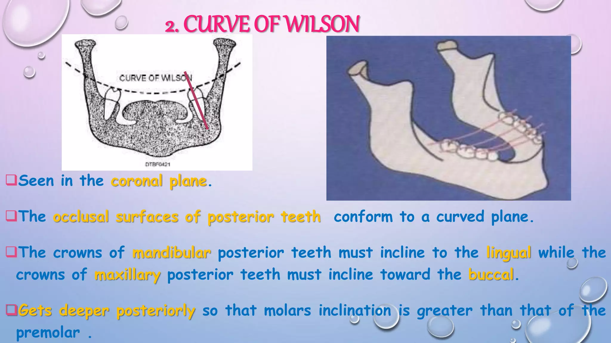 Occlussion | PPT