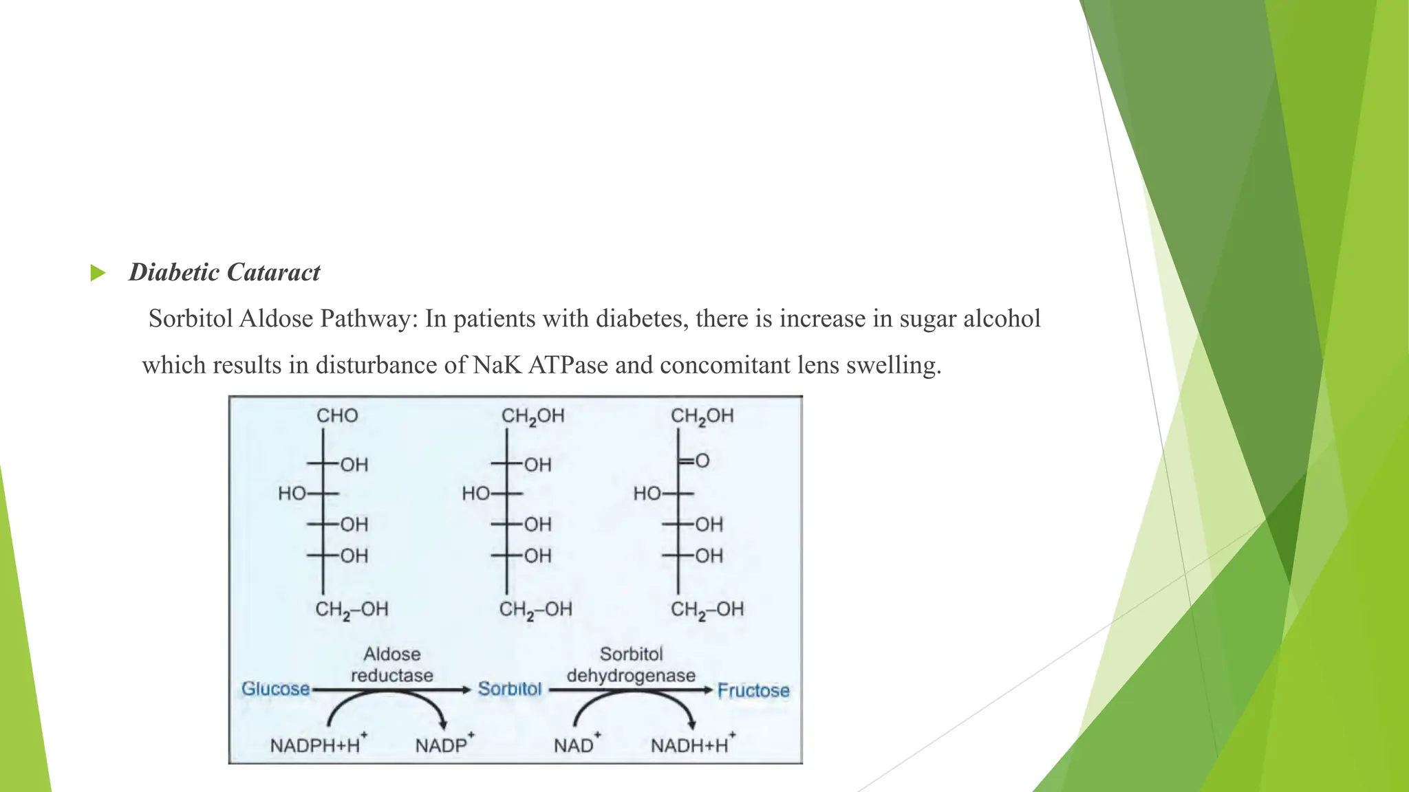 occular biochemistry for optometry students | PPTX