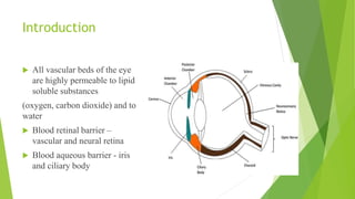occular biochemistry for optometry students | PPTX