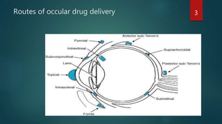 Occular dds by pradipkumar rathod | PPTX