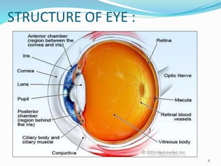 Occular Drug Delivery System | PPT