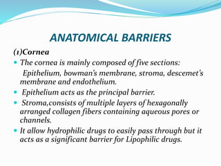 Occular drug delivery system ppt | PPTX