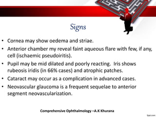Ocular Ischemic Syndrome Symptoms