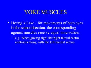 Occular motility | PPT